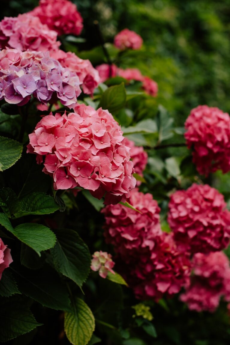 The Impact of SES on Child Development: Addressing Disparities ...